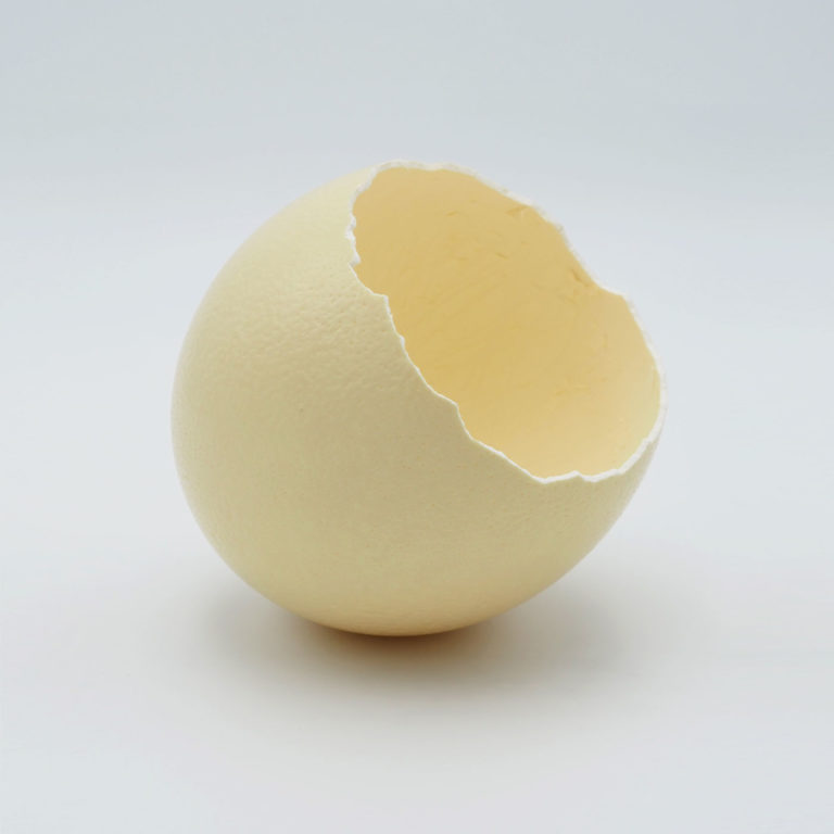 Straußenei / Speiseei voll - Straussenhof Kotzenbach