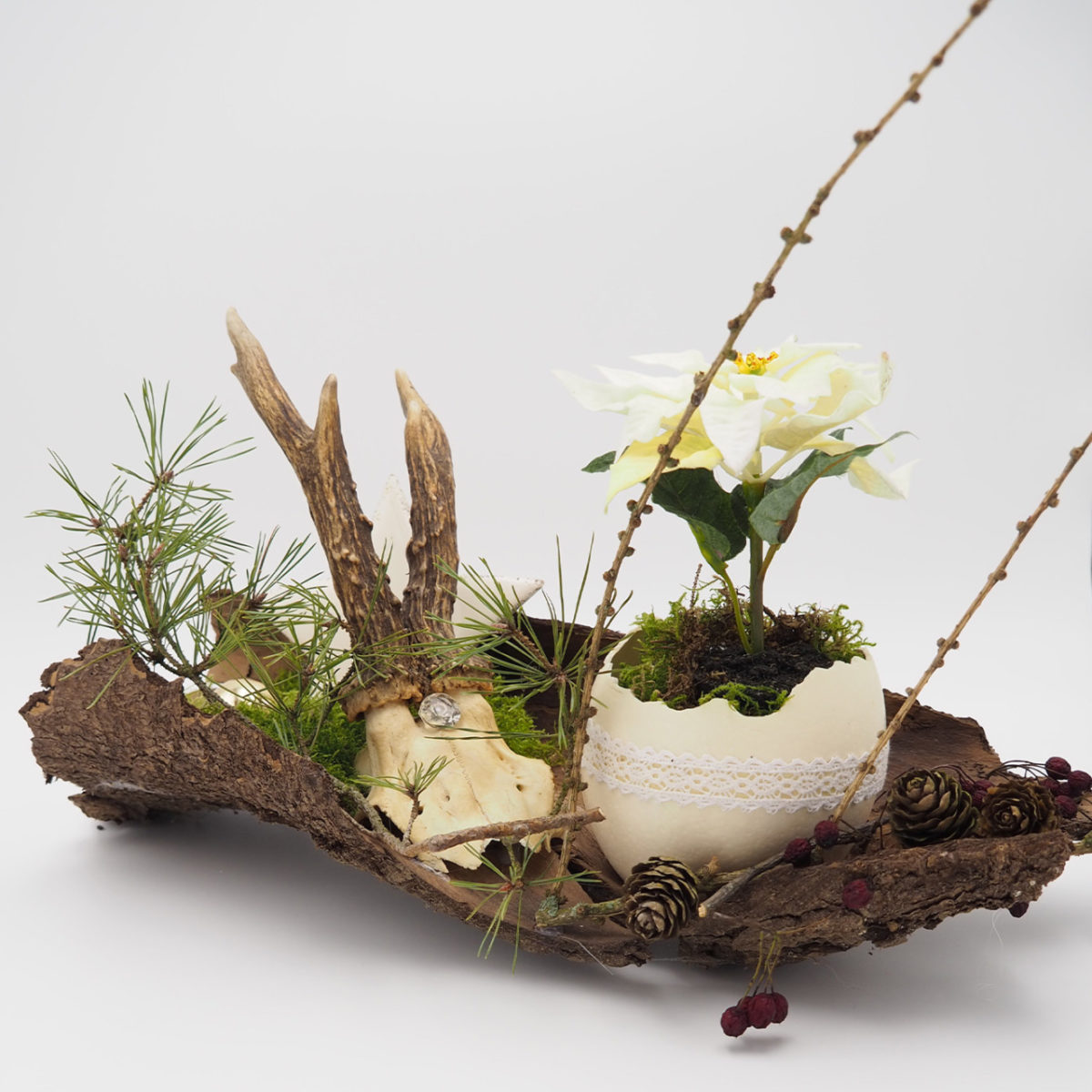 Straußenei Archive - Straussenhof Kotzenbach